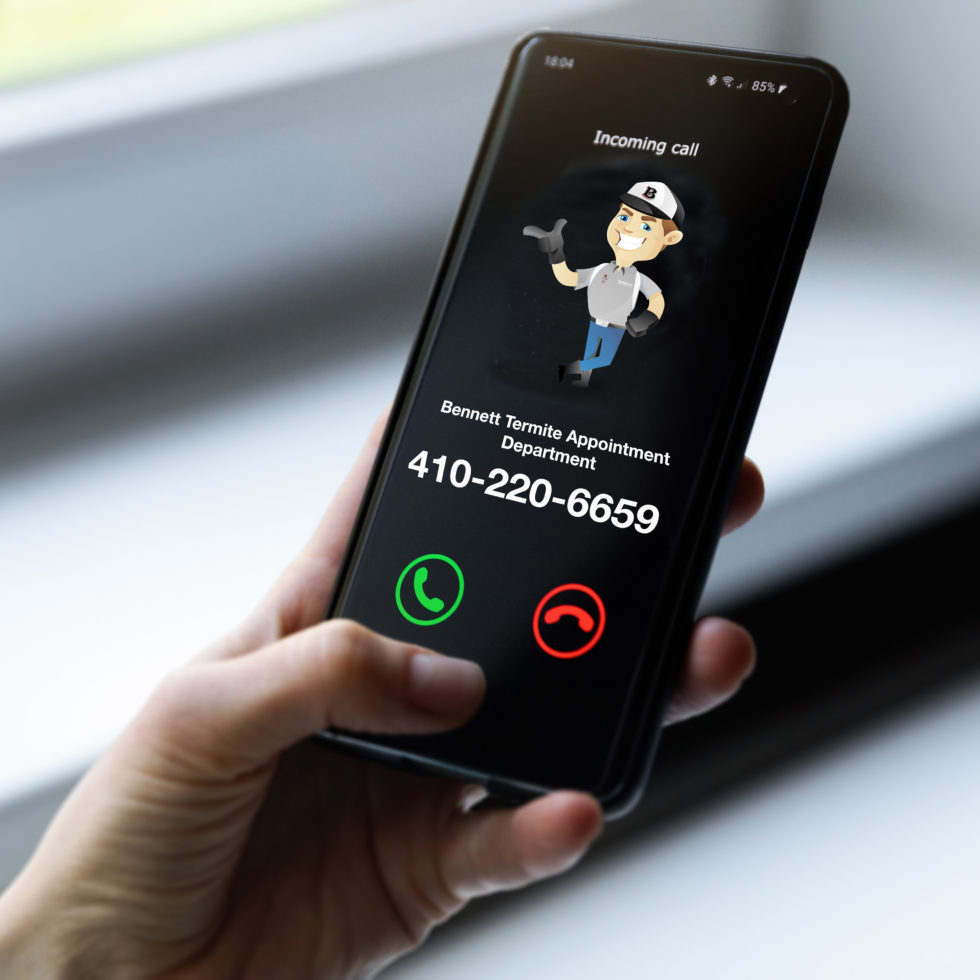 Pest Control Services in Sussex County, Delaware | Bennett Termite ...