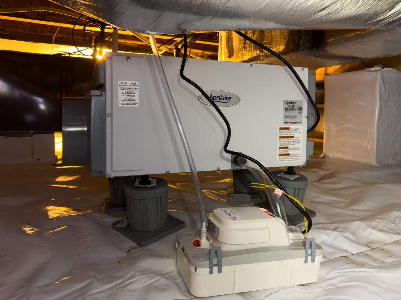 Pest Control Services in Sussex County, Delaware | Bennett Termite ...