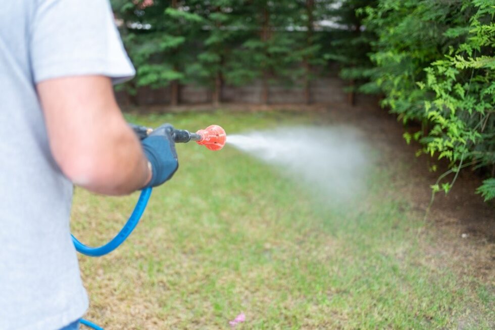 Why Safe & Effective Mosquito Control is Important | Bennett Termite ...